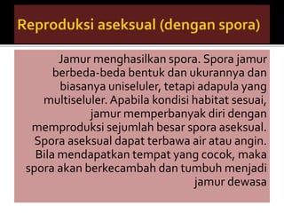 KINGDOM FUNGI, kerajaan jamur, basidiomycota | PPTX