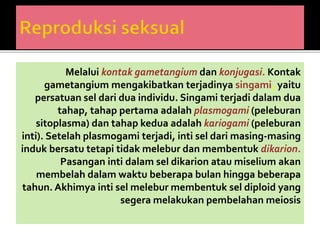 KINGDOM FUNGI, kerajaan jamur, basidiomycota | PPTX