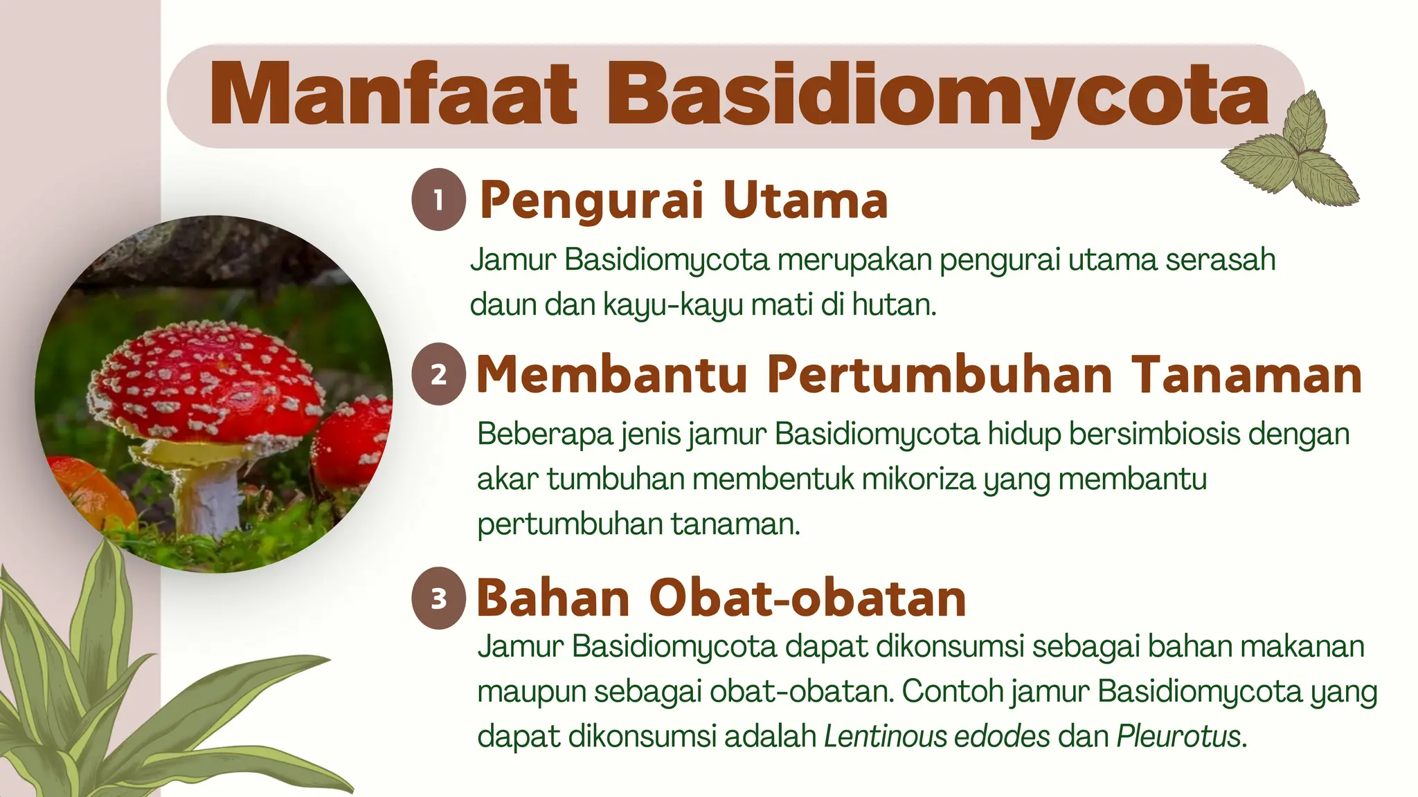 Memahami Kehidupan Rahasia Kingdom Fungi | PDF