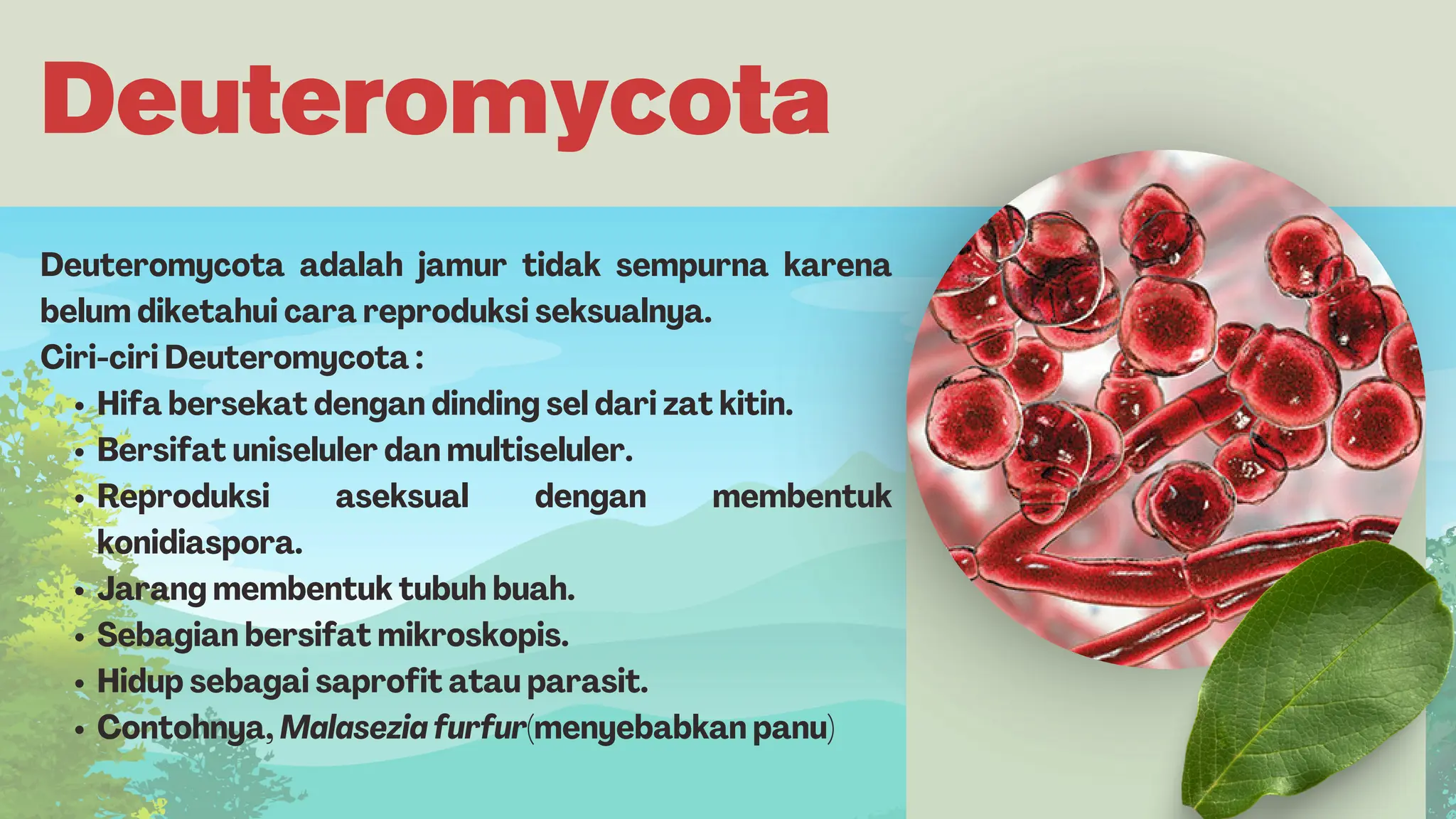 Memahami Kehidupan Rahasia Kingdom Fungi | PDF