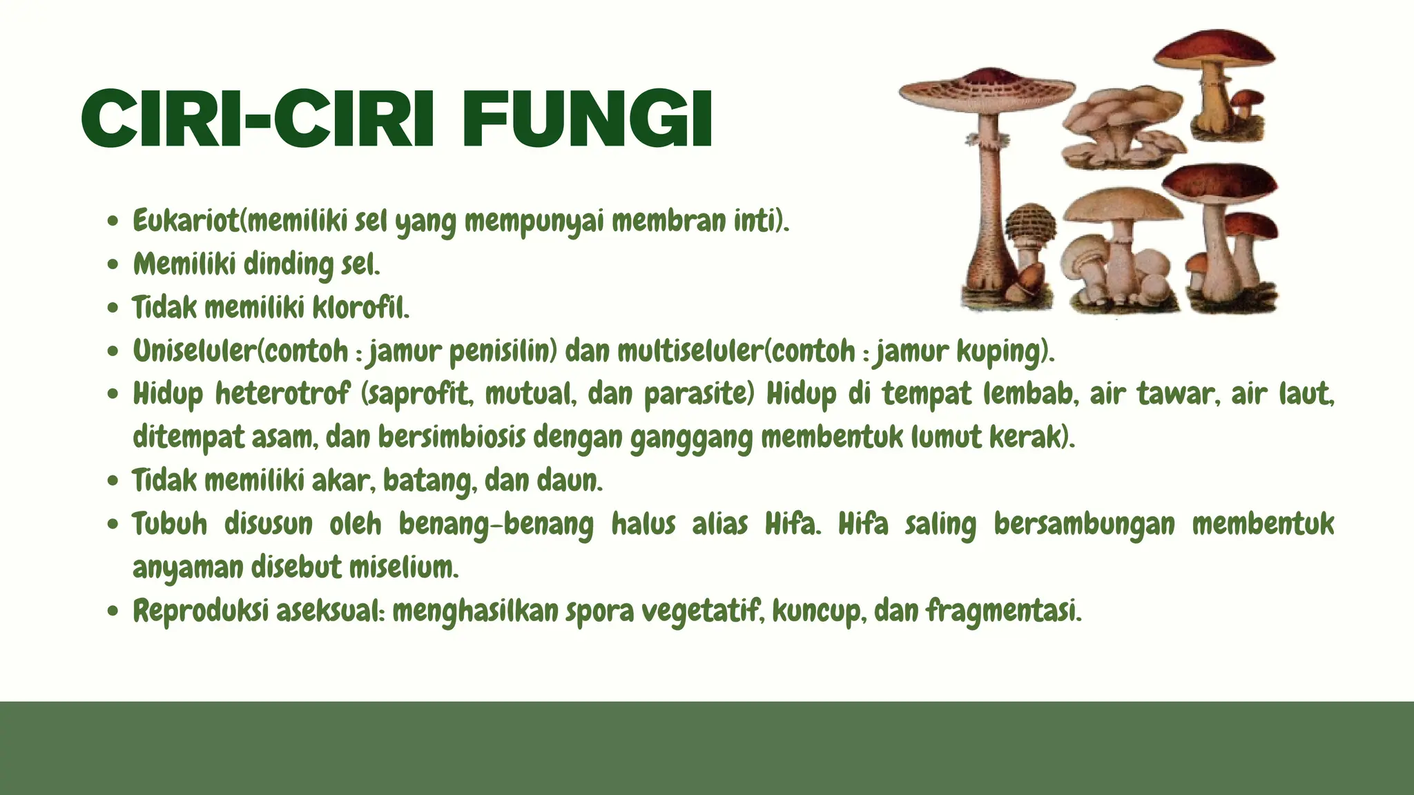 Memahami Kehidupan Rahasia Kingdom Fungi | PDF