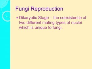 Kingdom fungi2 | PPT
