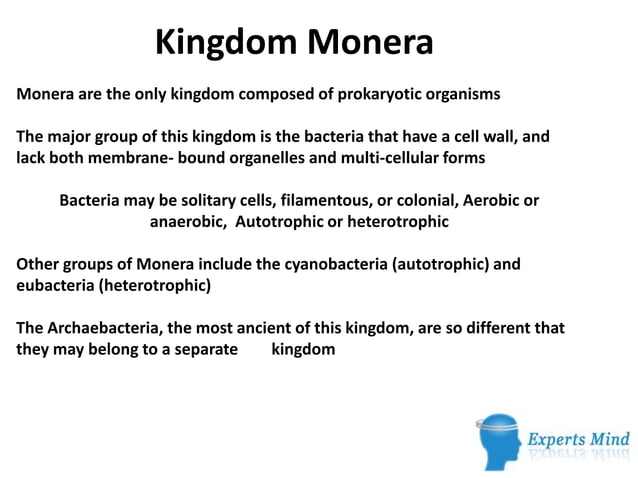 Kingdom monera | PPTX | Biological Sciences | Science