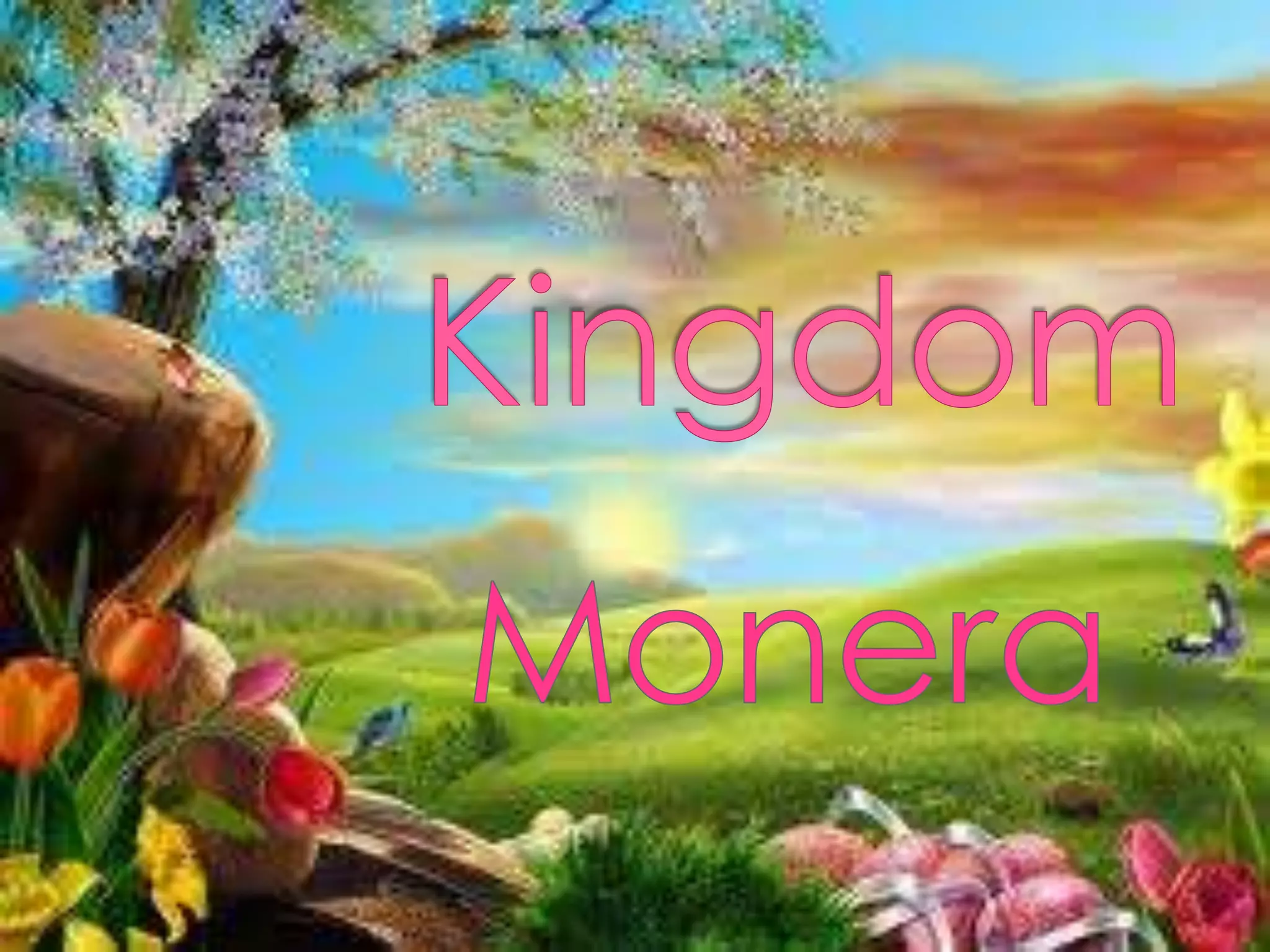 Kingdom monera | PPTX