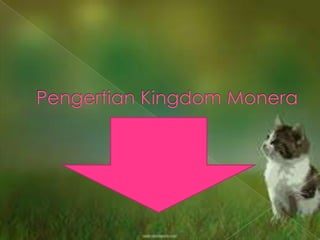 Kingdom monera | PPTX