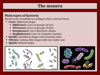 Types Of Monera