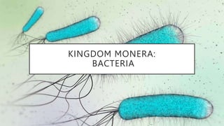 Kingdom Monera.pptx