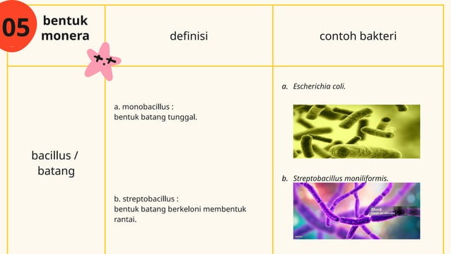 kingdom monera, materi belajar kelas 10 SMA | PPT