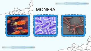 KINGDOM MONERA KERAJAAN DARI BAKTERI.pptx