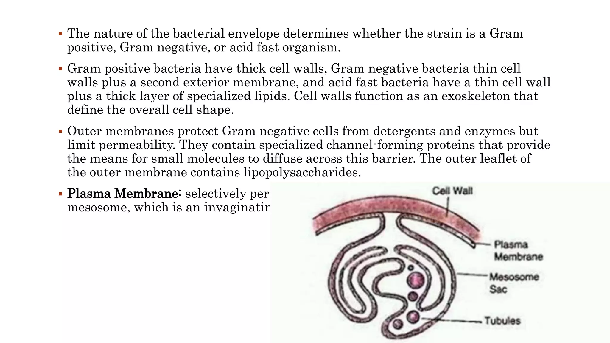 Kingdom Monera and ultrastructure of bacteria | PPT