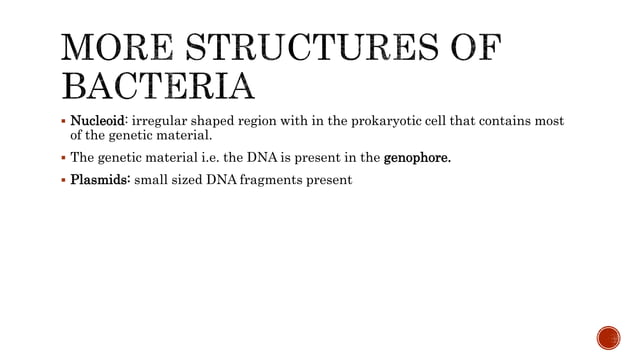 Kingdom Monera and ultrastructure of bacteria | PPT