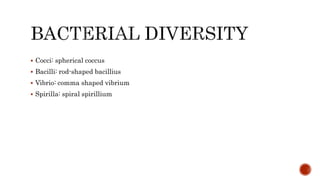 Kingdom Monera and ultrastructure of bacteria | PPT
