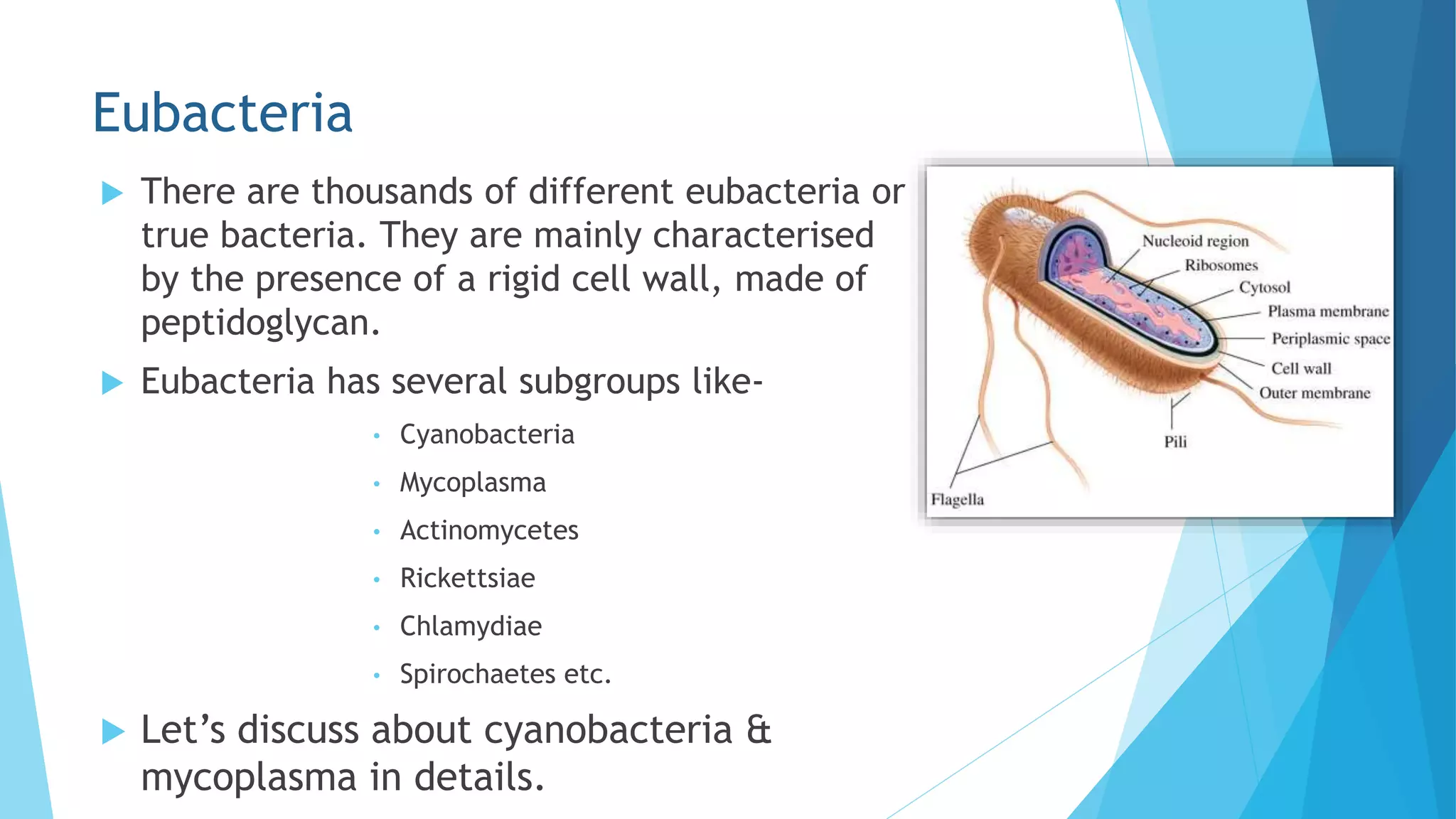 Kingdom Monera or bacteria (biological classification) by Ratnodip Saha ...