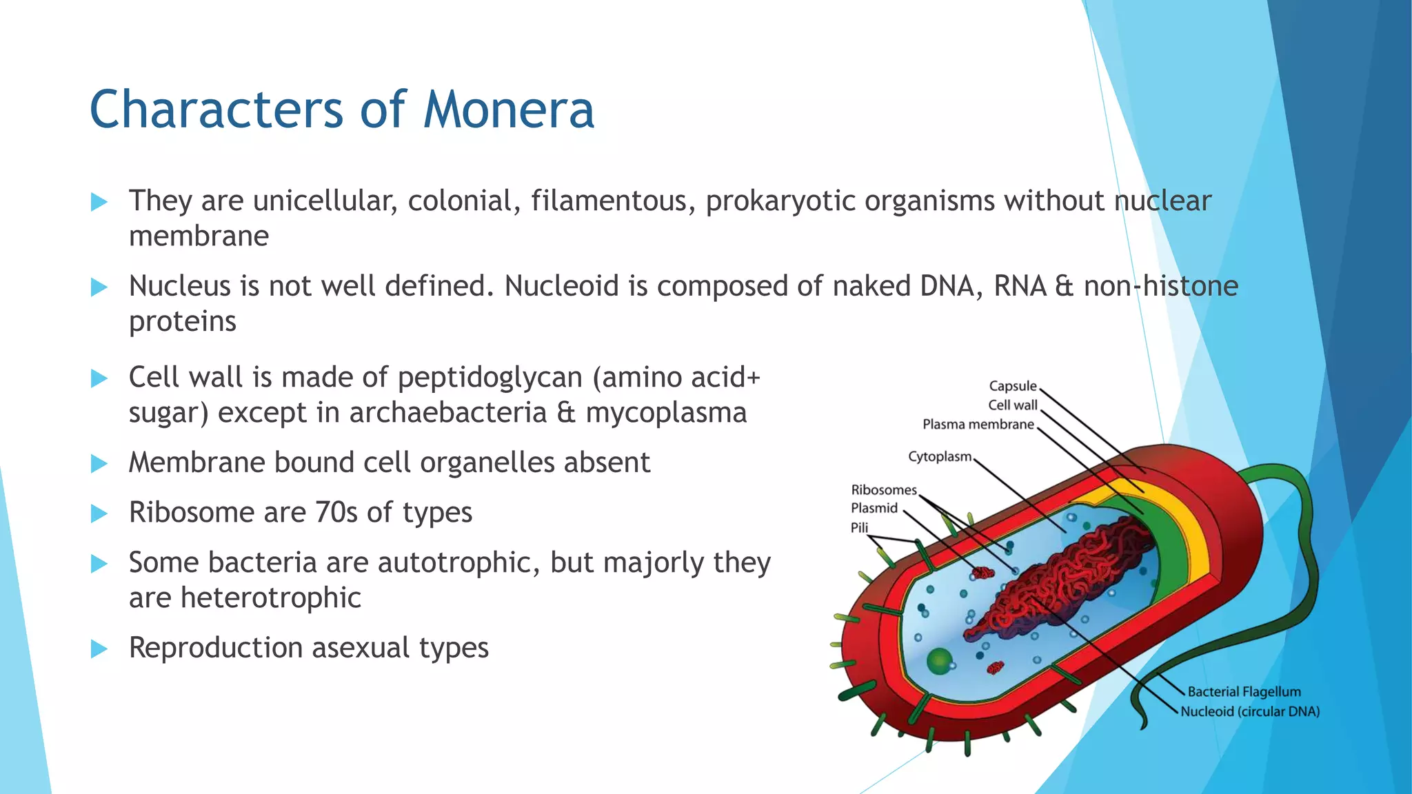 Kingdom Monera or bacteria (biological classification) by Ratnodip Saha ...