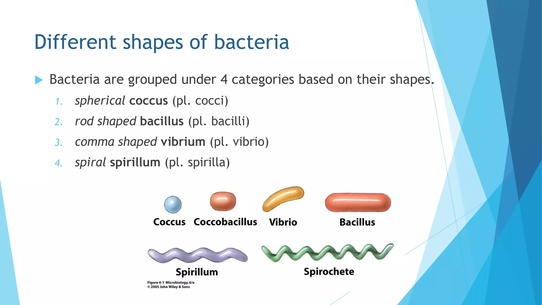 Kingdom Monera or bacteria (biological classification) by Ratnodip Saha ...