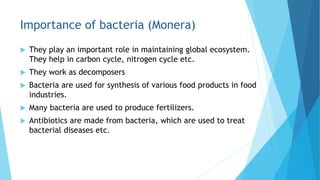 Kingdom Monera or bacteria (biological classification) by Ratnodip Saha ...