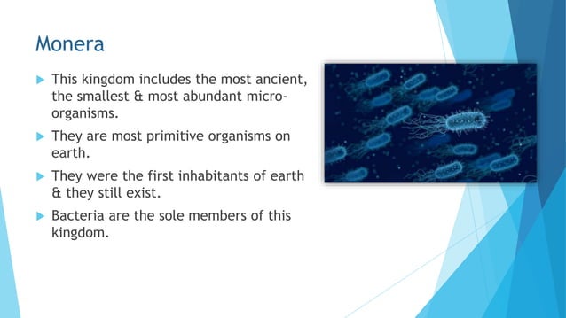 Kingdom Monera or bacteria (biological classification) by Ratnodip Saha ...