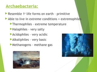 Kingdom monera characteristics | PPT | Biological Sciences | Science
