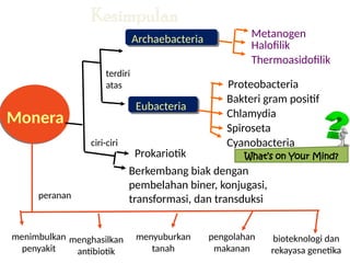 classification of organismKINGDOM_MONERA_pptx.pptx