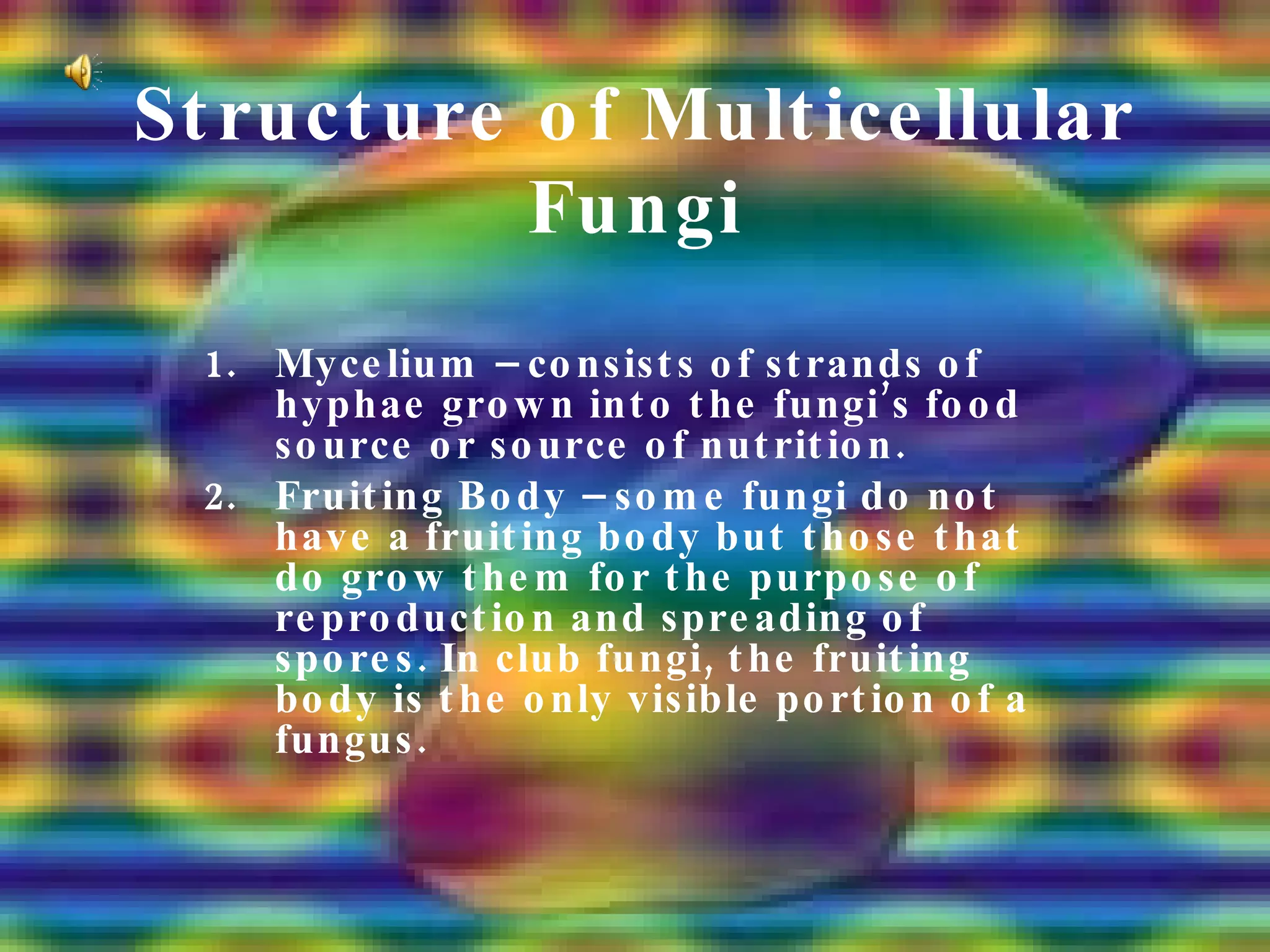 Kingdom Of Fungi | PPT
