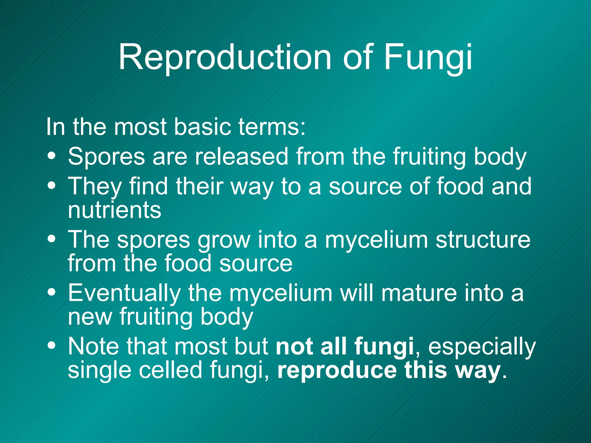 Kingdom Of Fungi | PPT