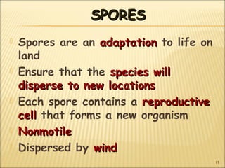 Kingdom of fungi | PPT