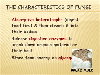 Kingdom of fungi | PPT