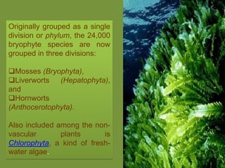 Kingdom plant | PDF | Gardening | Home & Garden