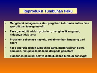 Kingdom plantae | PPT