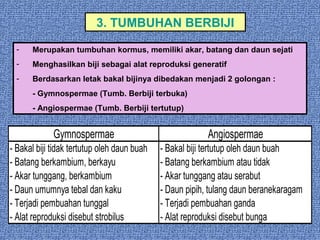 Kingdom plantae | PPT