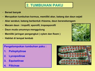 Kingdom plantae | PPT