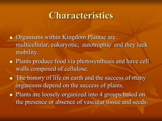 Plantae Kingdom Characteristics