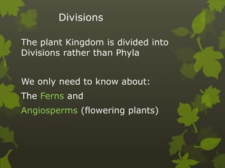 Kingdom plantae IGSCSE | PPT