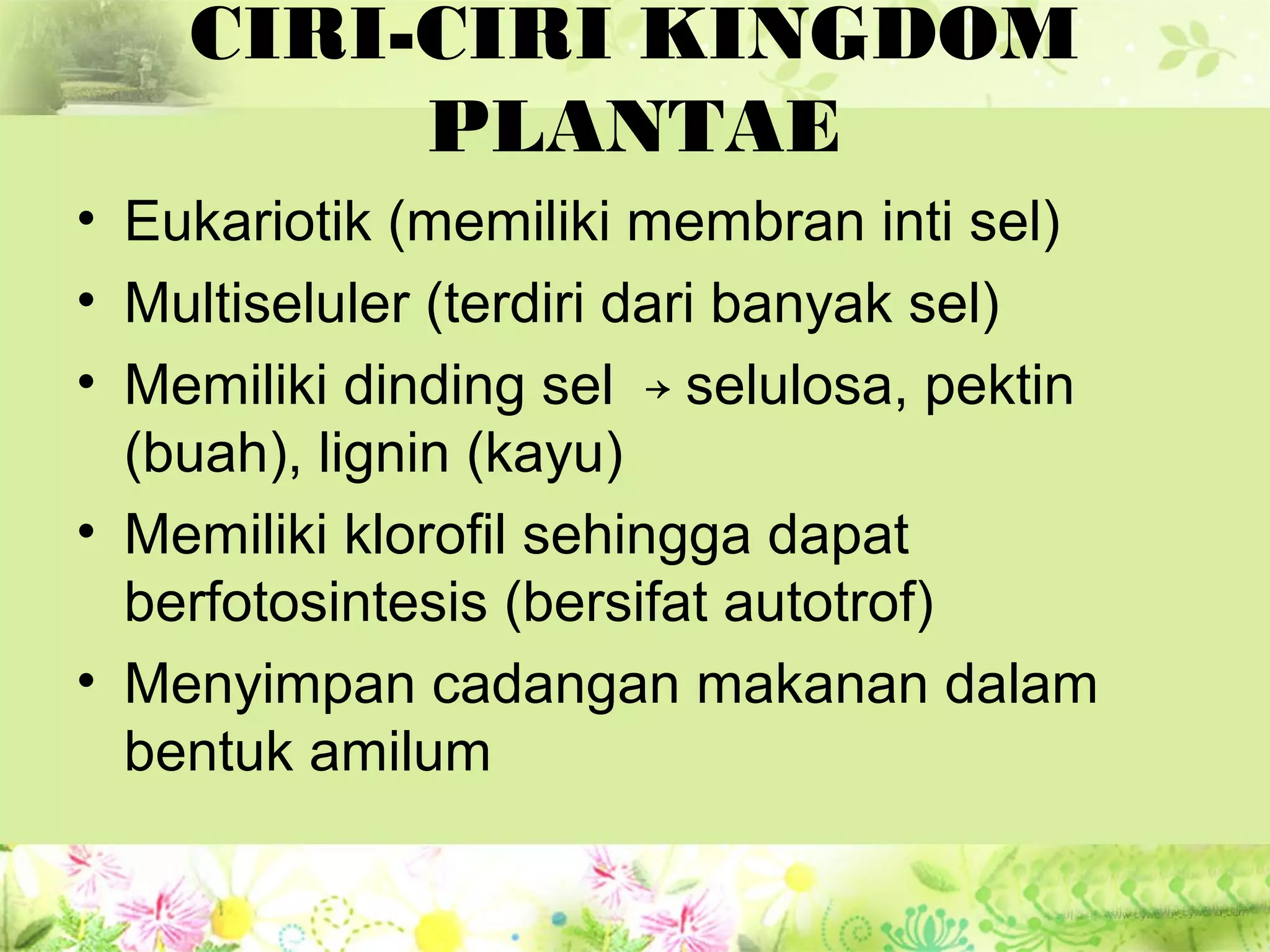 Kingdom plantae | PPT