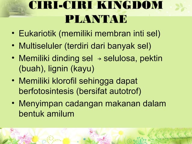 Kingdom plantae | PPT