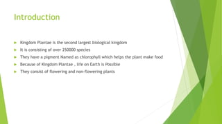Kingdom plantae | PPTX