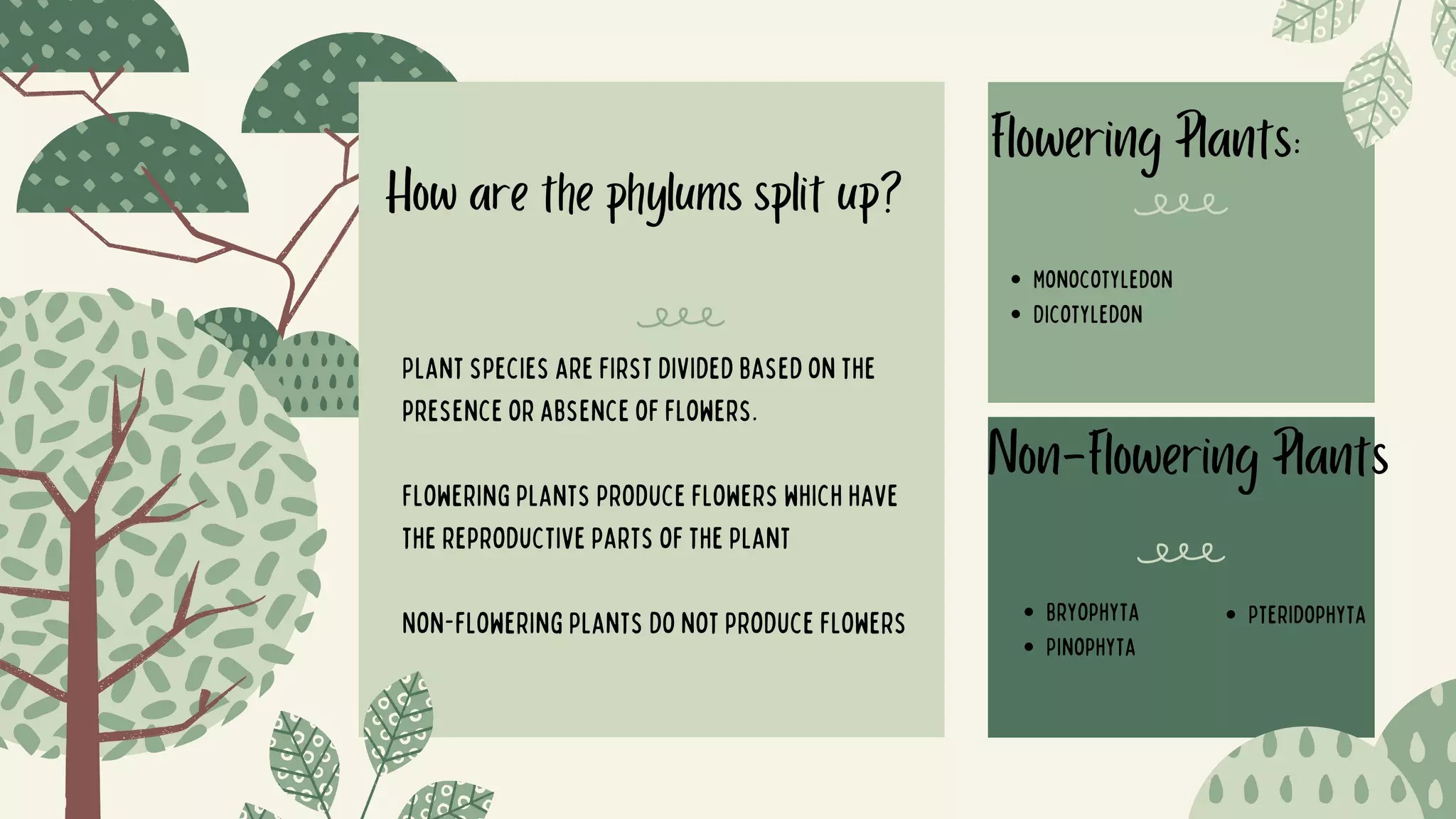 Kingdom Plantae.pdf