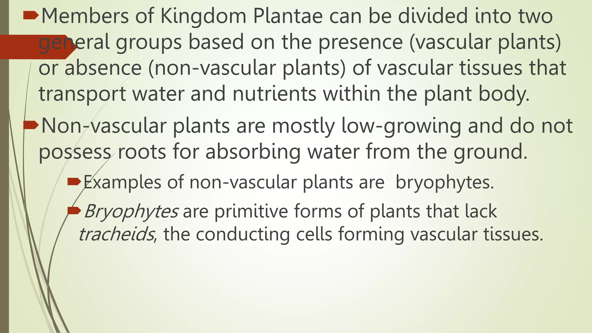 Kingdom Plantae.pptx