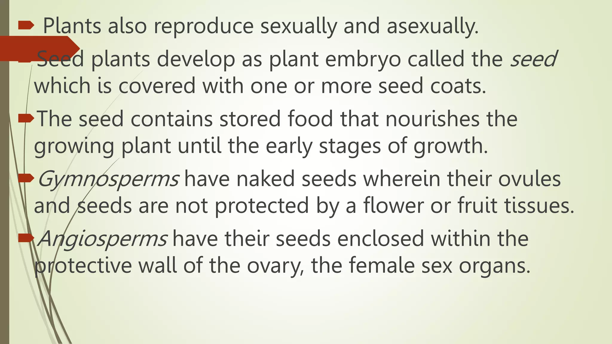 Kingdom Plantae.pptx