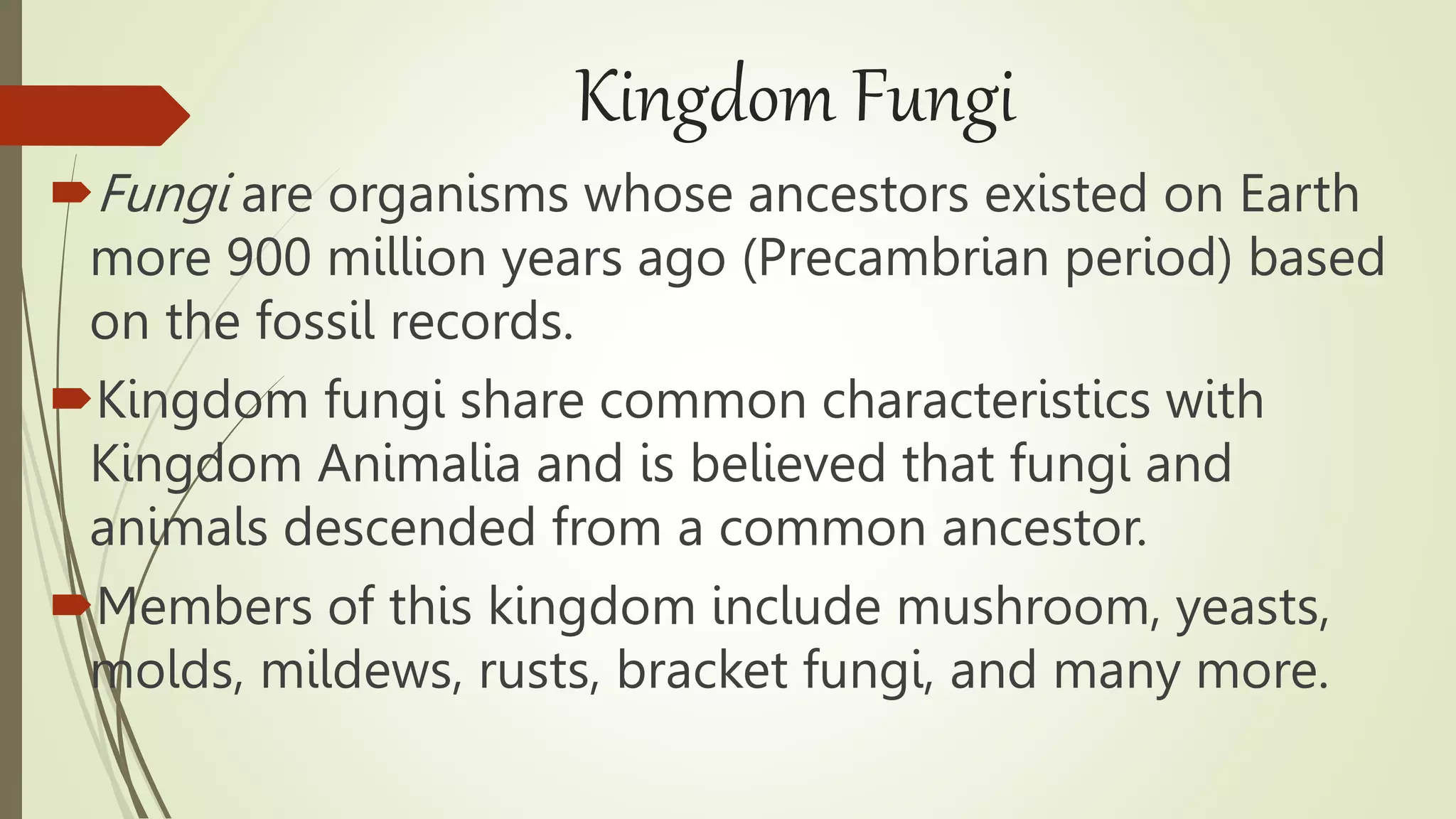 Kingdom Plantae.pptx