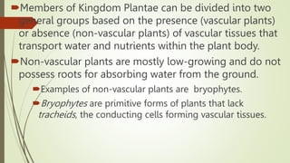 Kingdom Plantae.pptx