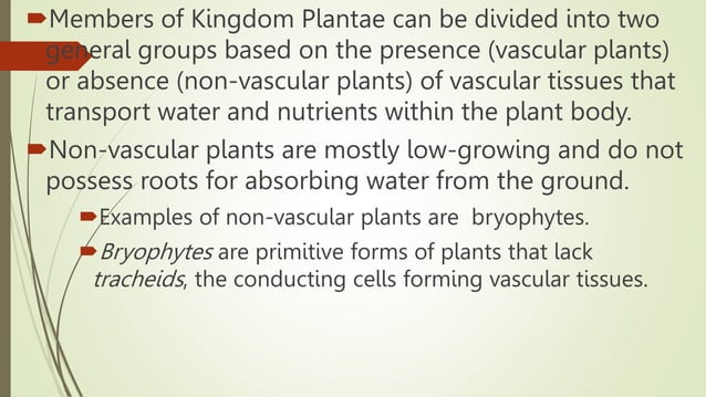 Kingdom Plantae.pptx