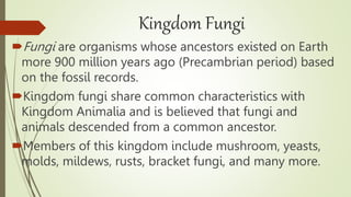 Kingdom Plantae.pptx