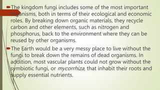 Kingdom Plantae.pptx