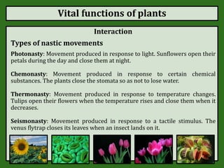 Kingdom Plantae - Vital functions | PPTX