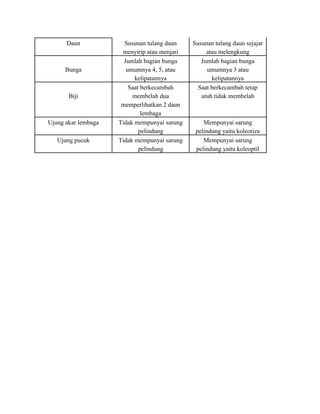 Kingdom plantae | PDF