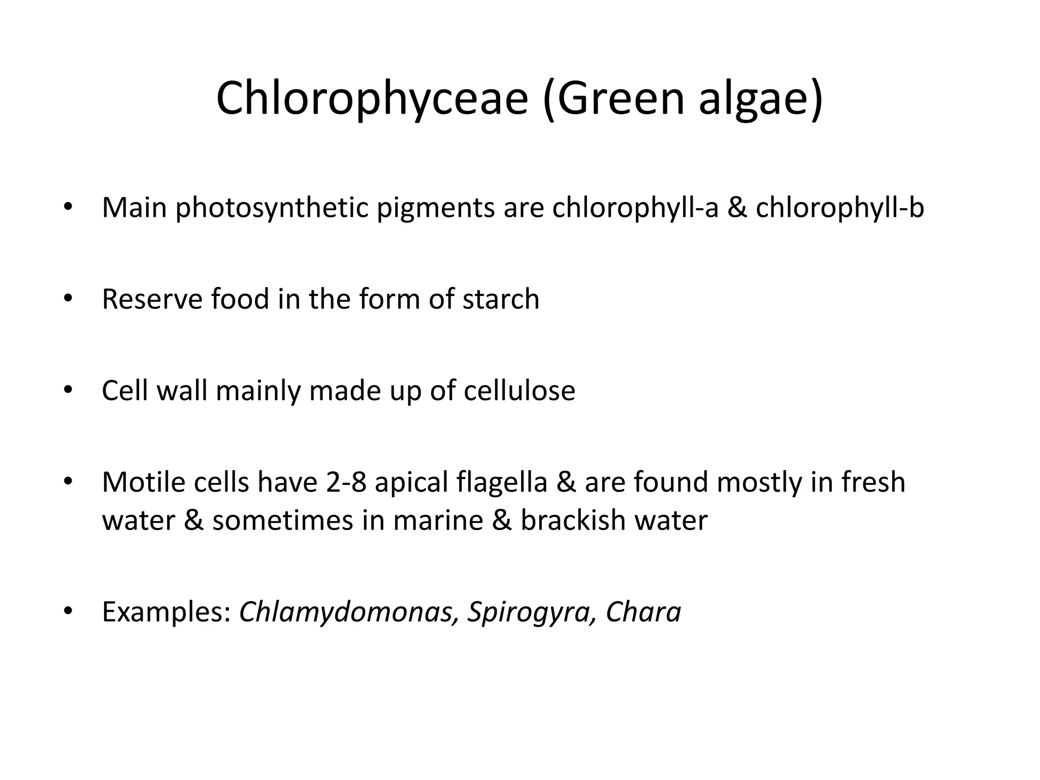 Kingdom plantae | PPTX