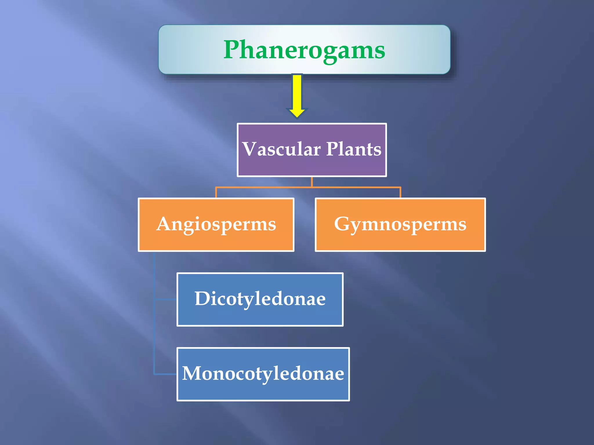 Kingdom plantae 2 | PPTX