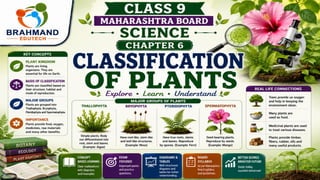 Ch 6. Classification of Plants| Science| Class 9 | Maharashtra State ...