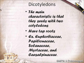 Kingdom plantae (Aridlah Sendy) | PPT | Gardening | Home & Garden